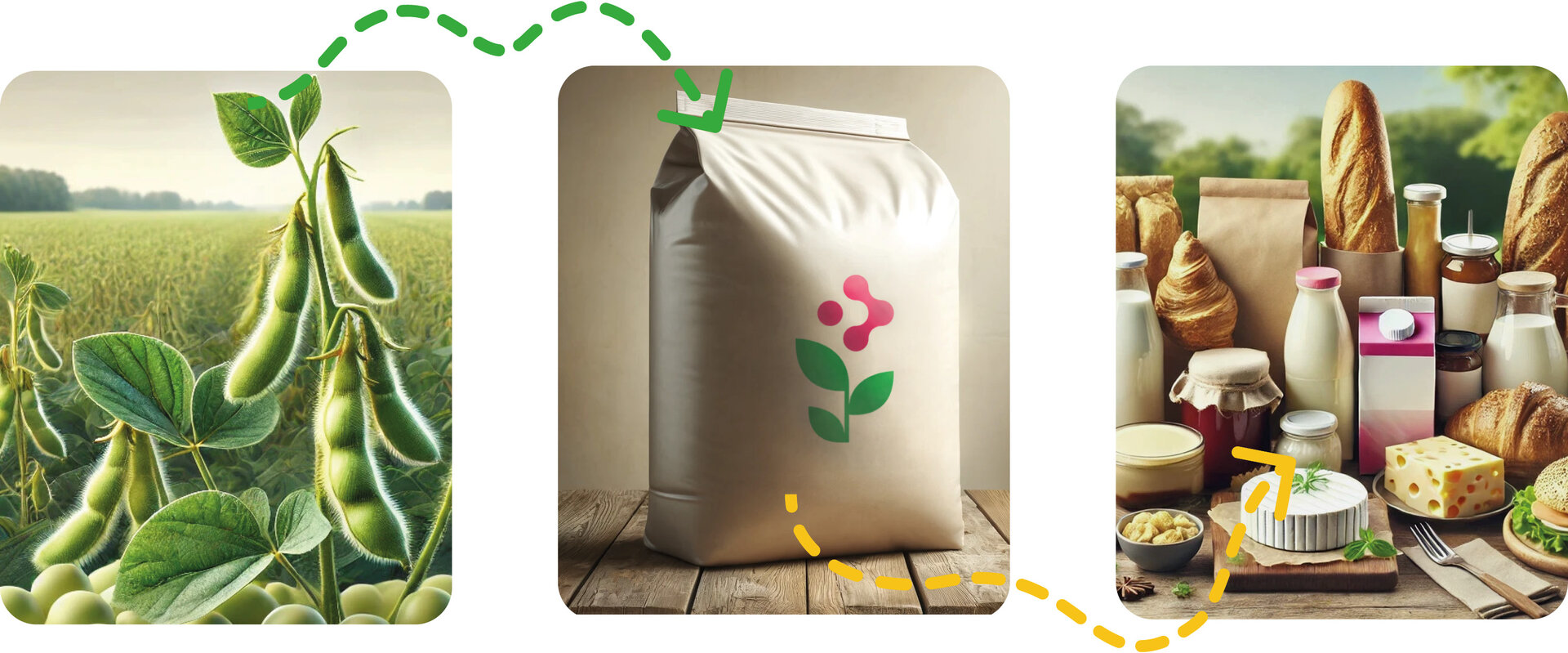 High-quality soy fiber | The Ingredients Experts | The Ingredients Experts