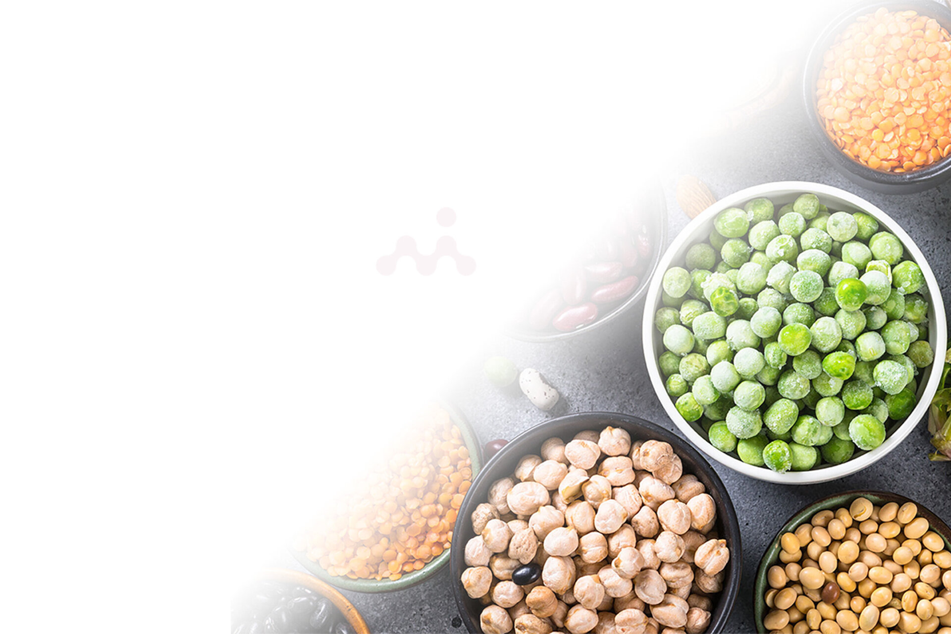 The Ingredients Experts - Your partner for plant-based ingredients and ...